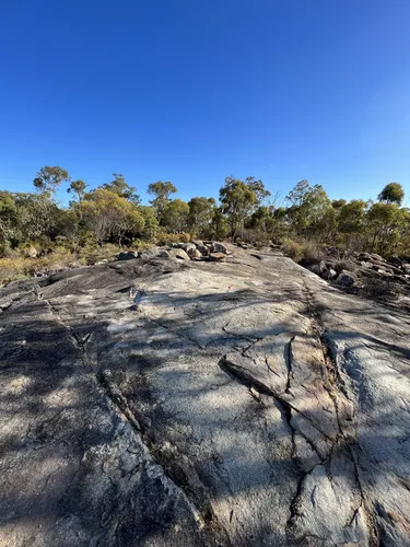 Best Hikes and Trails in Avon Valley National Park | AllTrails