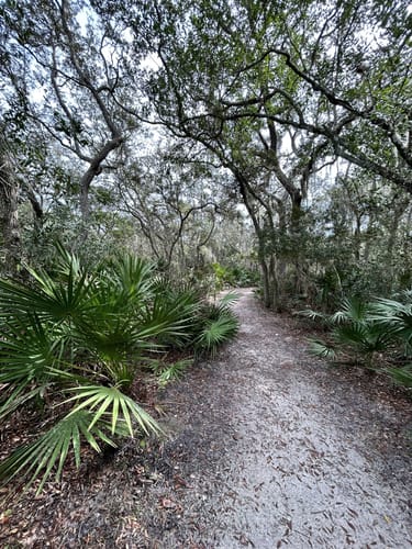 Best Hikes and Trails in Faver-Dykes State Park | AllTrails