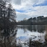 Redesmere and Capesthorne Circular, Cheshire, England - 134 Reviews ...