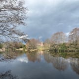 Redesmere and Capesthorne Circular, Cheshire, England - 134 Reviews ...