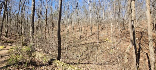 Best Hikes and Trails in Red Clay State Park | AllTrails