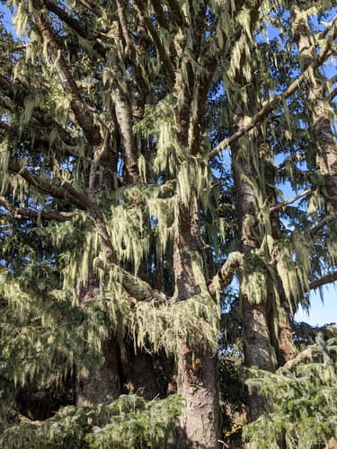 Best Hikes and Trails in Sitka Sedge State Natural Area | AllTrails