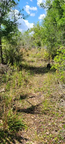 Best Hikes and Trails in Babcock Ranch Nature Preserve | AllTrails