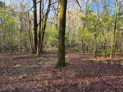 2023 Best trails in Dauset Trails Nature Center | AllTrails