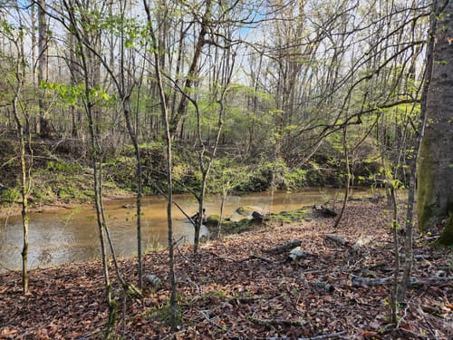 2023 Best trails in Dauset Trails Nature Center | AllTrails