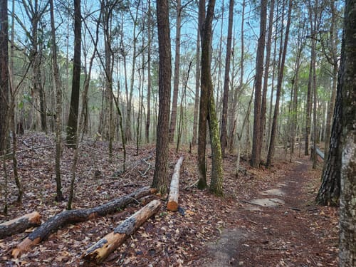 2023 Best trails in Dauset Trails Nature Center | AllTrails