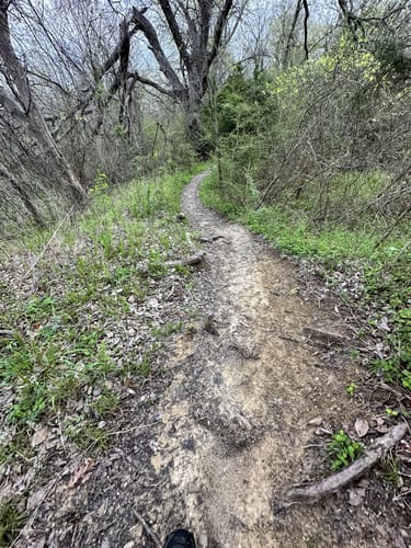 2023 Best Trail Running Trails in Rowlett Creek Preserve | AllTrails