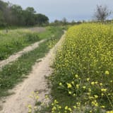 Good Water Loop, Texas - 794 Reviews, Map | AllTrails