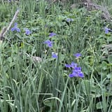 Good Water Loop, Texas - 794 Reviews, Map | AllTrails