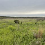 Good Water Loop, Texas - 794 Reviews, Map | AllTrails