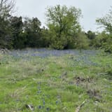 Good Water Loop, Texas - 794 Reviews, Map | AllTrails