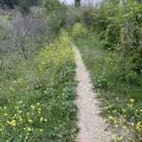 Good Water Loop, Texas - 794 Reviews, Map | AllTrails