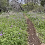 Good Water Loop, Texas - 794 Reviews, Map | AllTrails