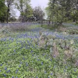 Good Water Loop, Texas - 794 Reviews, Map | AllTrails