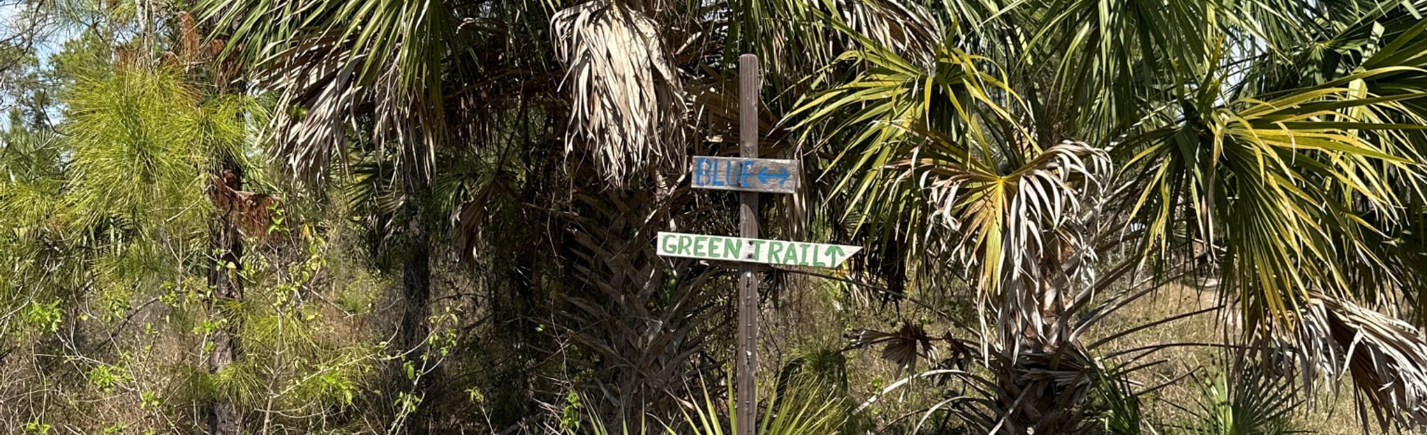 Picayune Strand State Forest Blue Trail: 14 Reviews, Map - Florida ...