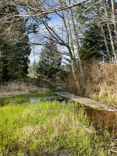 2023 Best trails in Buck Lake County Park | AllTrails