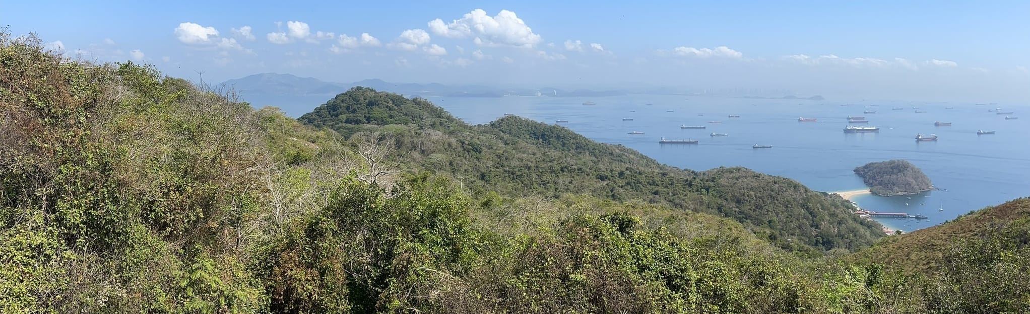Bosque de Taboga - Cerro Vigia - Tres Cruces: 12 Reviews, Map - Panama ...