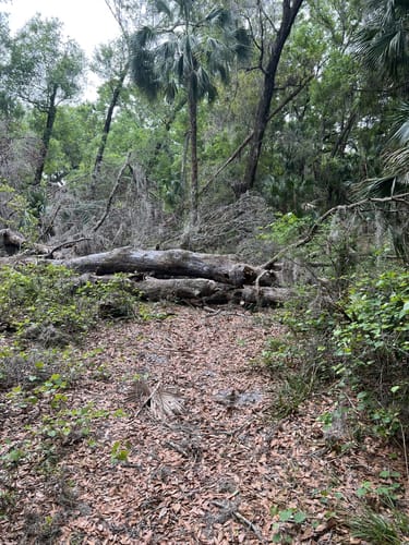 Best Hikes and Trails in Rock Springs Run State Reserve | AllTrails