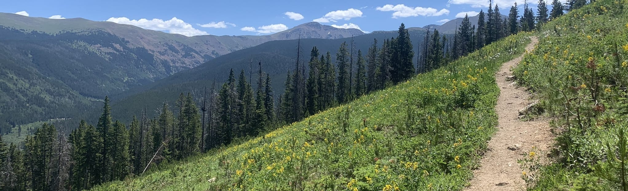 Winter Park Ute Trail, Colorado - 320 Reviews, Map | AllTrails