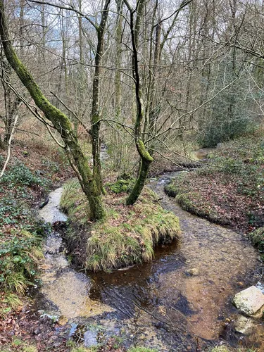 2023 Best Long Trails in Forêt domaniale de Saint-Sever | AllTrails