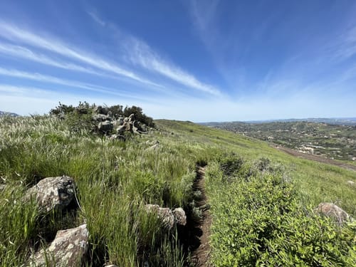 Best Hikes and Trails in Mount Clef Open Space | AllTrails