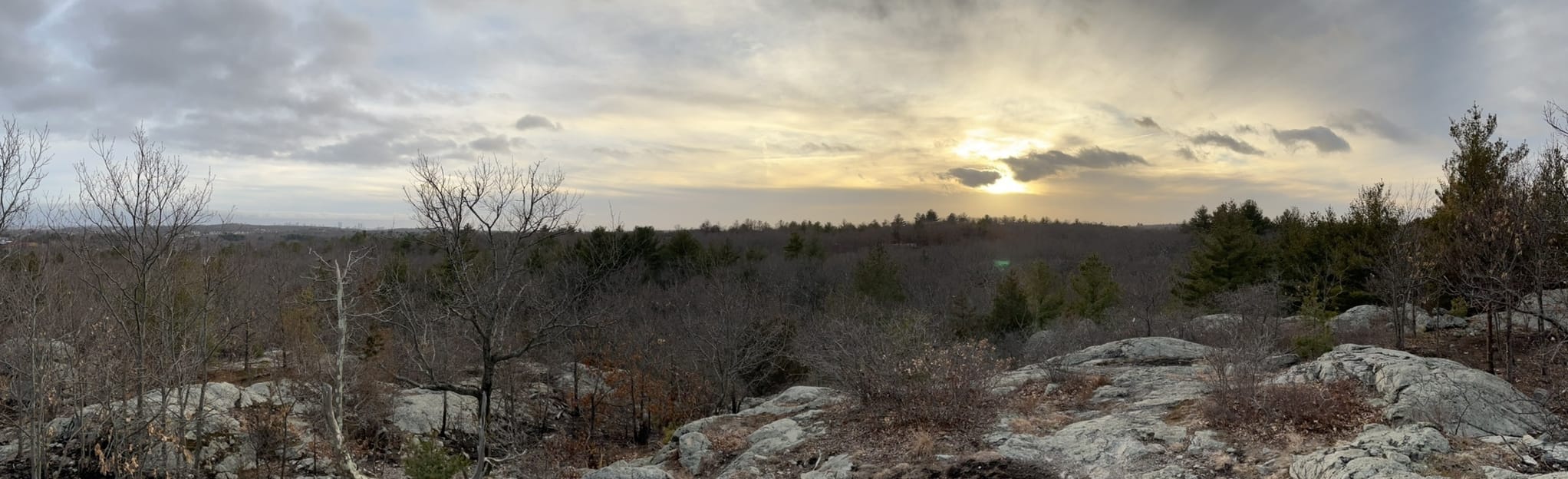 Breakheart Hill, Massachusetts - 119 Reviews, Map | AllTrails