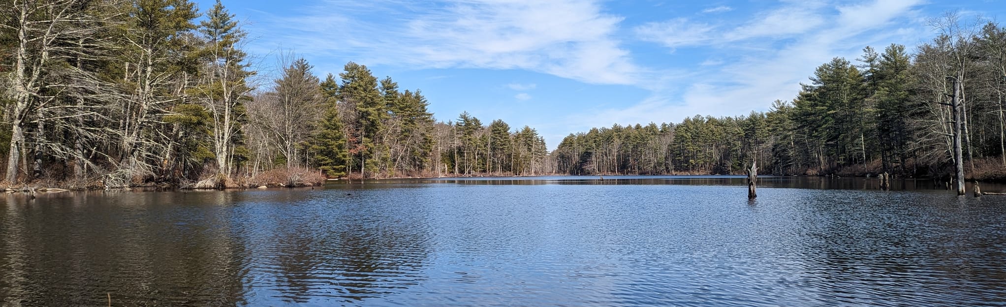 NS Trail Wallum Lake to Richardson Trail, 887 Fotos - Massachusetts ...