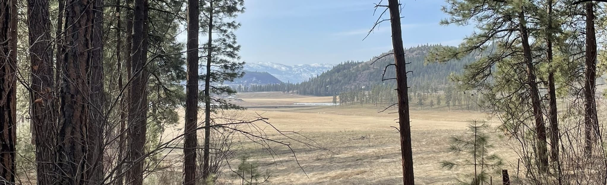 Quail Flume Trail and Eagle View Loop: 241 Reviews, Map - British ...