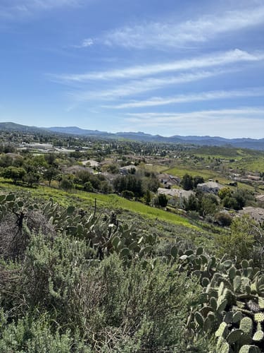 Best Hikes and Trails in Mount Clef Open Space | AllTrails