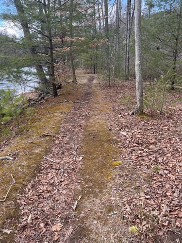 Best Hikes and Trails in Poe Paddy State Park | AllTrails