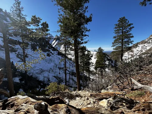 10 Best Trails and Hikes in Payson | AllTrails