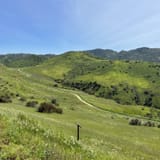 Autumn Ridge Trail, California - 397 Reviews, Map | AllTrails