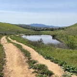 Autumn Ridge Trail, California - 397 Reviews, Map | AllTrails