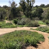 Lost Trail and Brea Dam Trail, California - 330 Reviews, Map | AllTrails