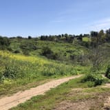 Lost Trail and Brea Dam Trail, California - 330 Reviews, Map | AllTrails