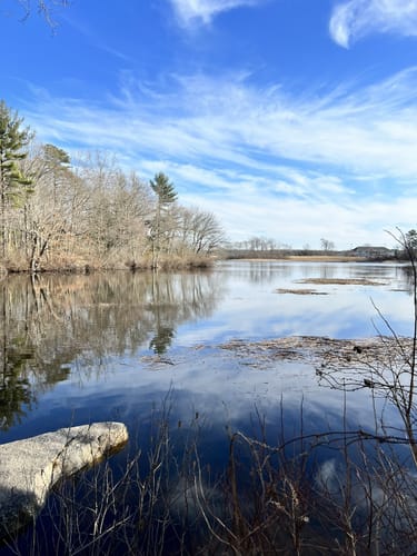 Best Hikes and Trails in Merrill S. Whipple Conservation Area | AllTrails