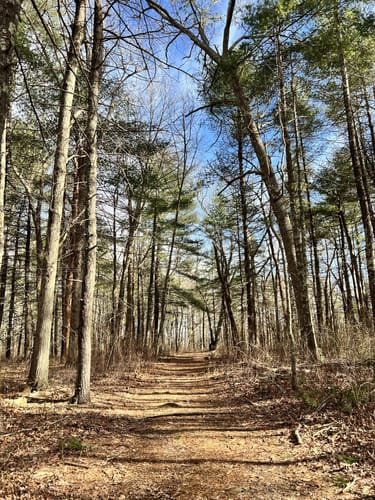 Best Hikes and Trails in Merrill S. Whipple Conservation Area | AllTrails