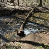 Wildcat Creek Loop Trail, Georgia - 322 Reviews, Map | AllTrails