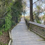 Three Rivers Greenway Trail, South Carolina - 412 Reviews, Map | AllTrails
