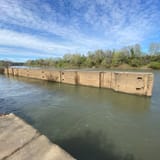 Three Rivers Greenway Trail, South Carolina - 412 Reviews, Map | AllTrails