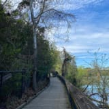Three Rivers Greenway Trail, South Carolina - 412 Reviews, Map | AllTrails