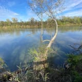 Three Rivers Greenway Trail, South Carolina - 412 Reviews, Map | AllTrails