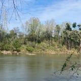 Three Rivers Greenway Trail, South Carolina - 412 Reviews, Map | AllTrails