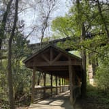 Three Rivers Greenway Trail, South Carolina - 412 Reviews, Map | AllTrails