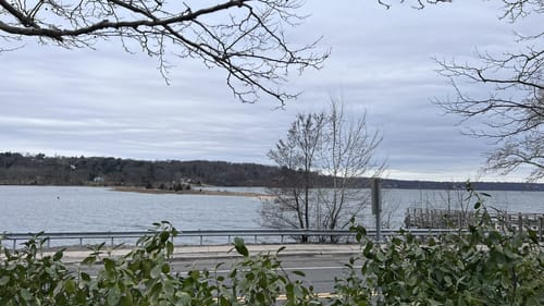 Best Hikes and Trails in Cold Spring Harbor State Park | AllTrails