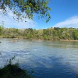 Three Rivers Greenway Trail, South Carolina - 412 Reviews, Map | AllTrails