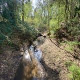 Three Rivers Greenway Trail, South Carolina - 412 Reviews, Map | AllTrails