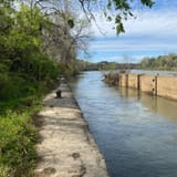 Three Rivers Greenway Trail, South Carolina - 412 Reviews, Map | AllTrails