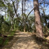Three Rivers Greenway Trail, South Carolina - 412 Reviews, Map | AllTrails