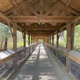 Three Rivers Greenway Trail, South Carolina - 412 Reviews, Map | AllTrails